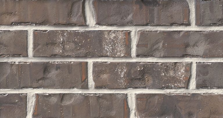 FULL BRICK - Red River Brick Austin